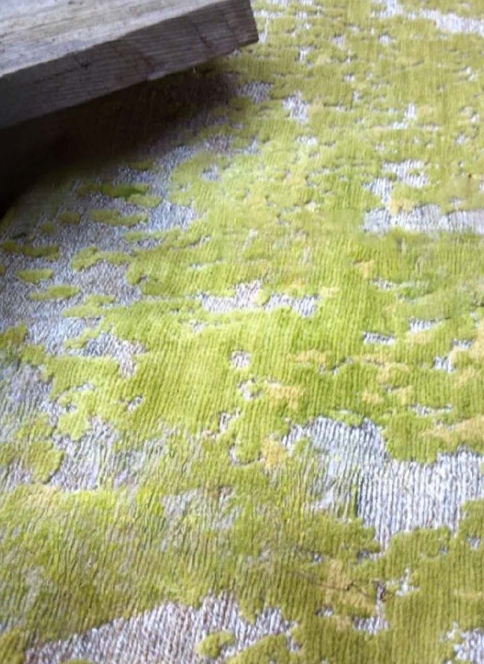 The Dump Luxe Furniture Outlet | Tamarian Tibetan Rugs – Handwoven ...